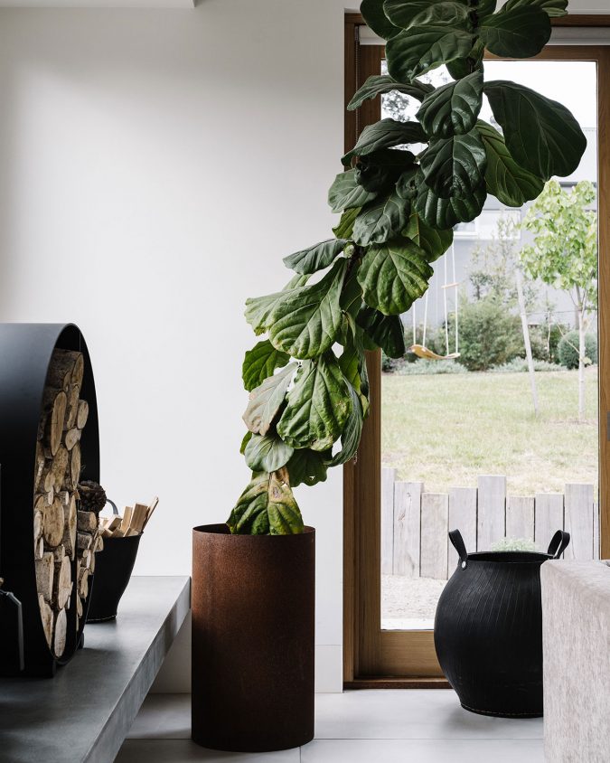 The Unearthed Garden | Shop