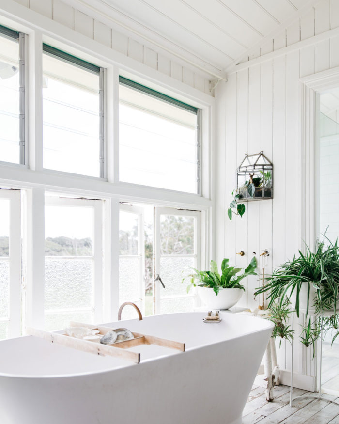 The Unearthed Garden | STORY 2 – COUNTRY SHOOT